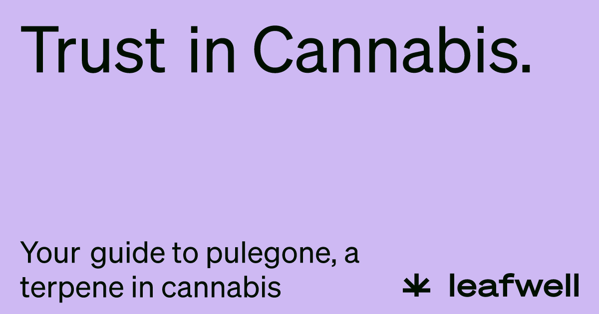 What is pulegone: Benefits, uses, risks, and more